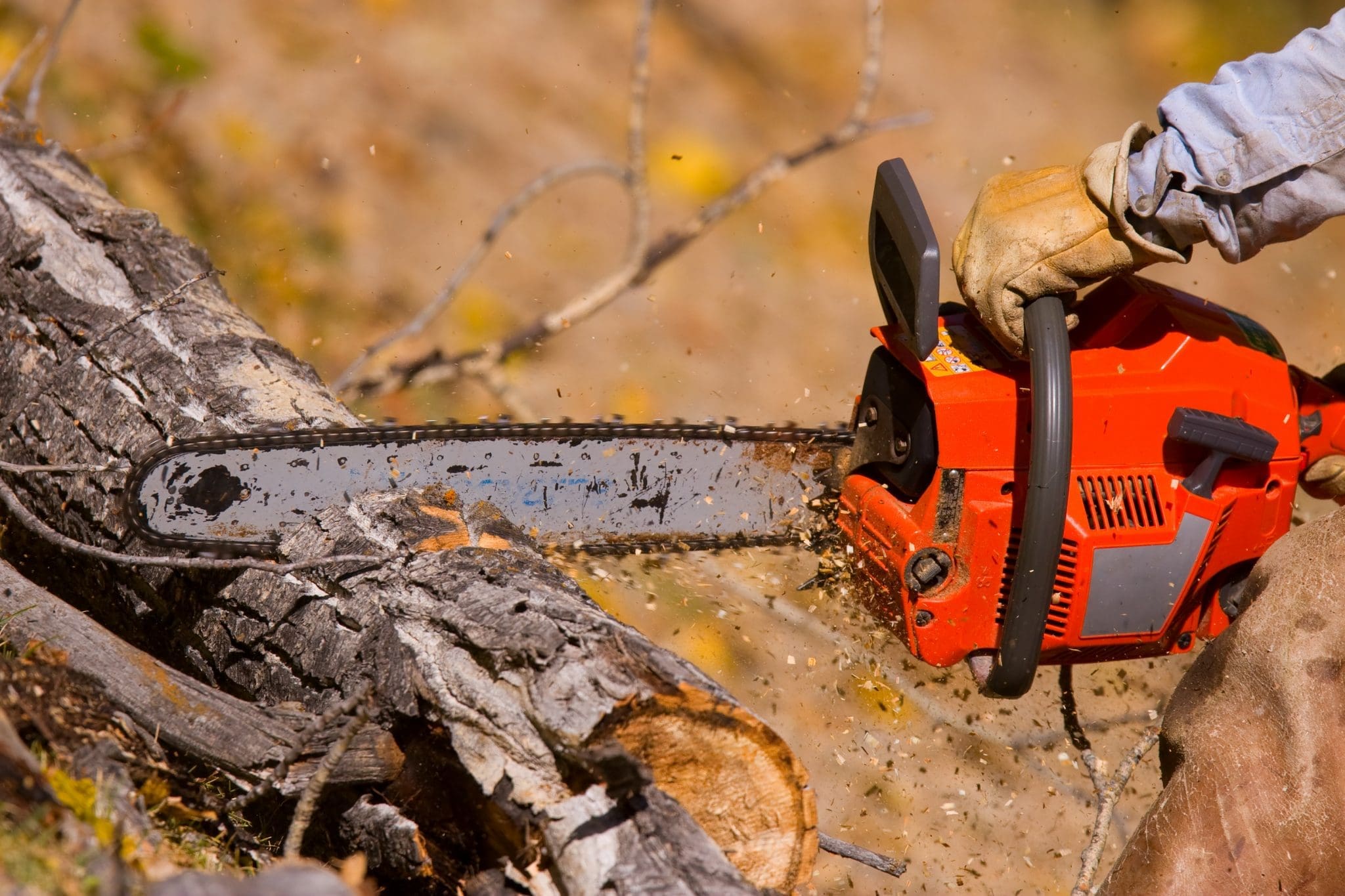 Chainsaw Safety Training | NATT Safety Services